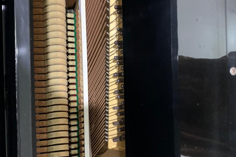 Kawai bl 31 serial number - dpokherbal